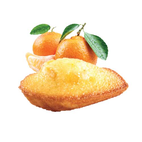 ST. MICHEL CITRUS MADELEINE 18G 140 UNI/CJ - Pedersen fine foods